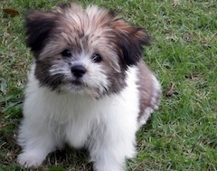 Buy and Sell in Your Town · TownPost