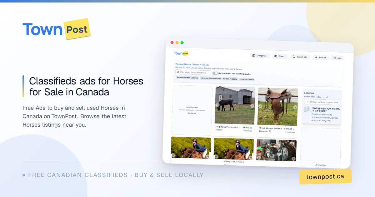 Classifieds ads for Horses for Sale in Canada · TownPost